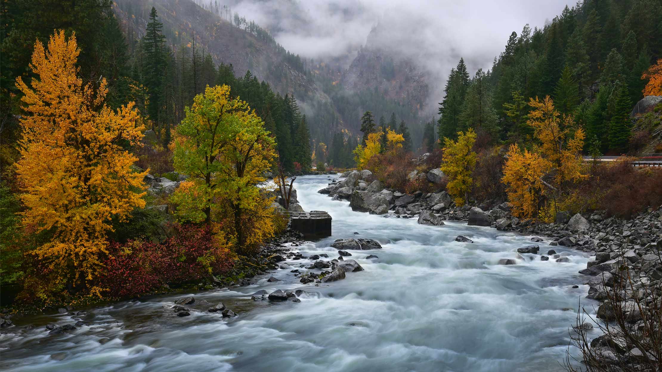 Ways to Give - Washington Water Trust