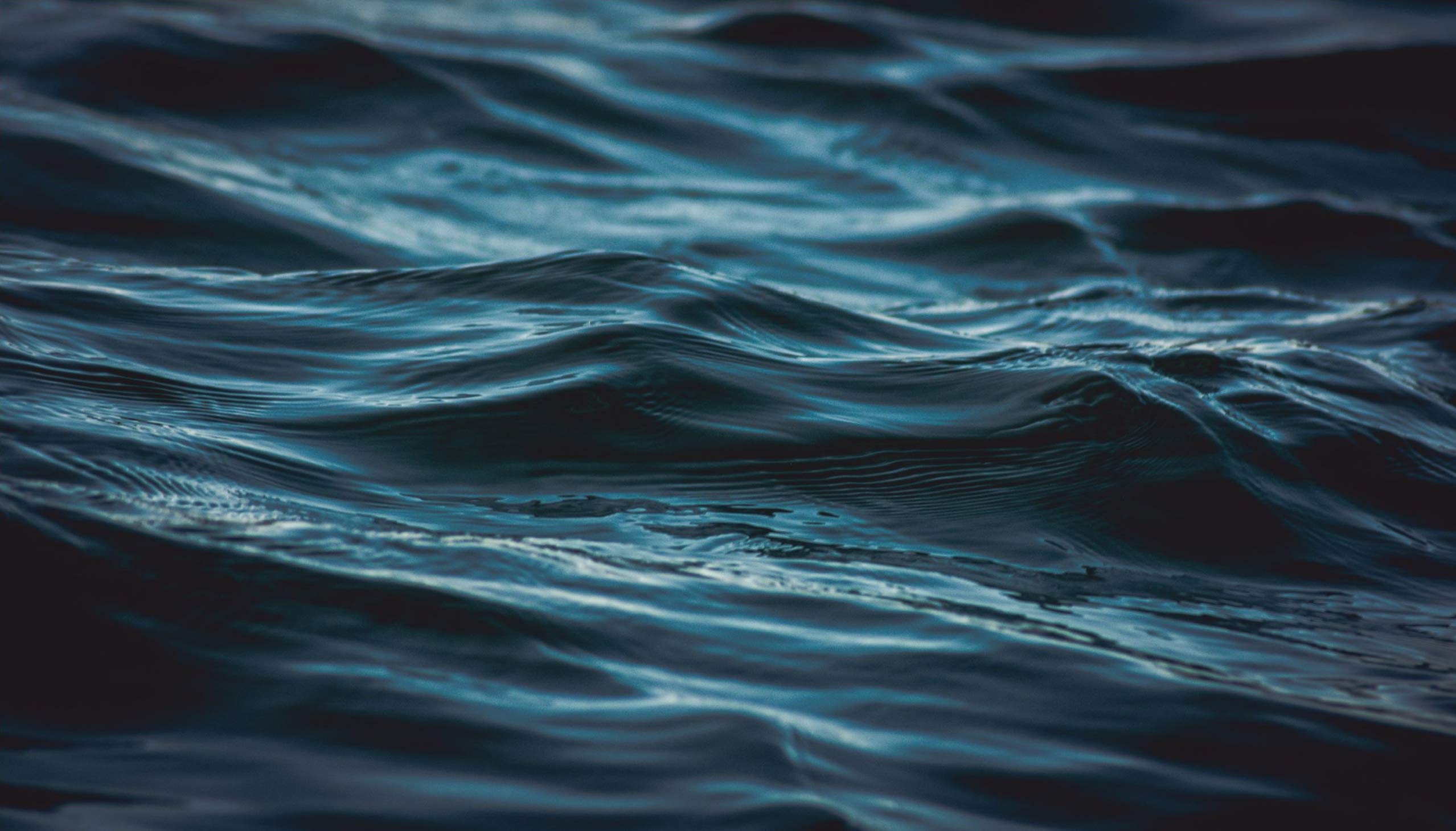 Washington Water Trust