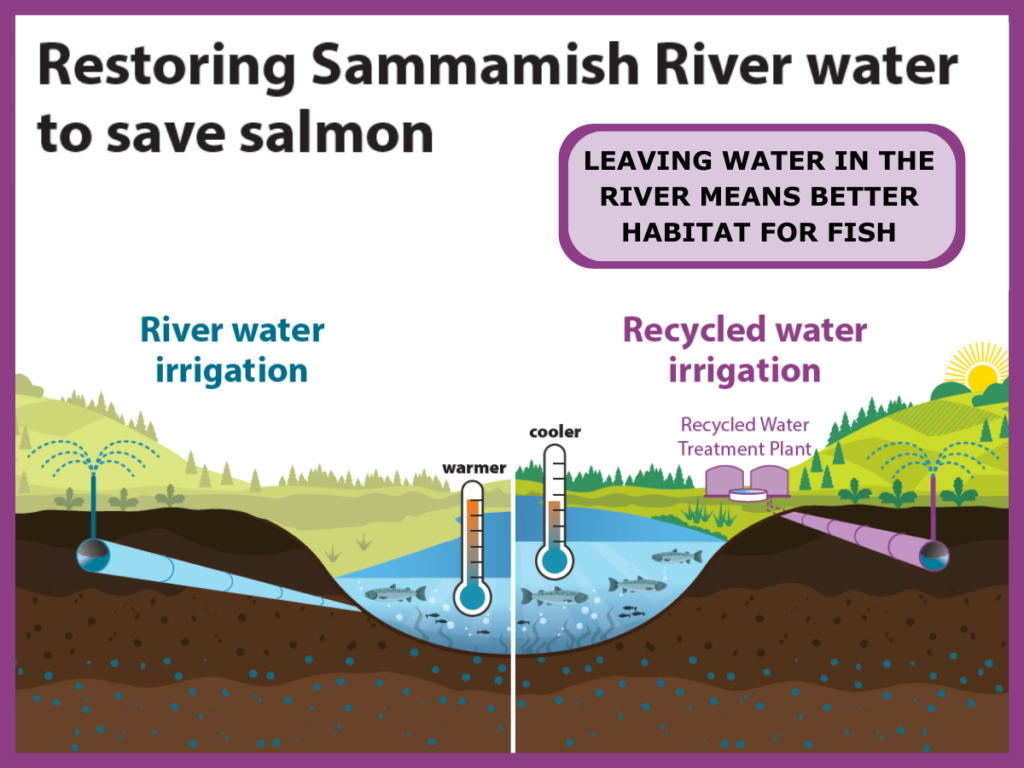 Exploring recycled water in the Sammamish Valley - Washington Water Trust
