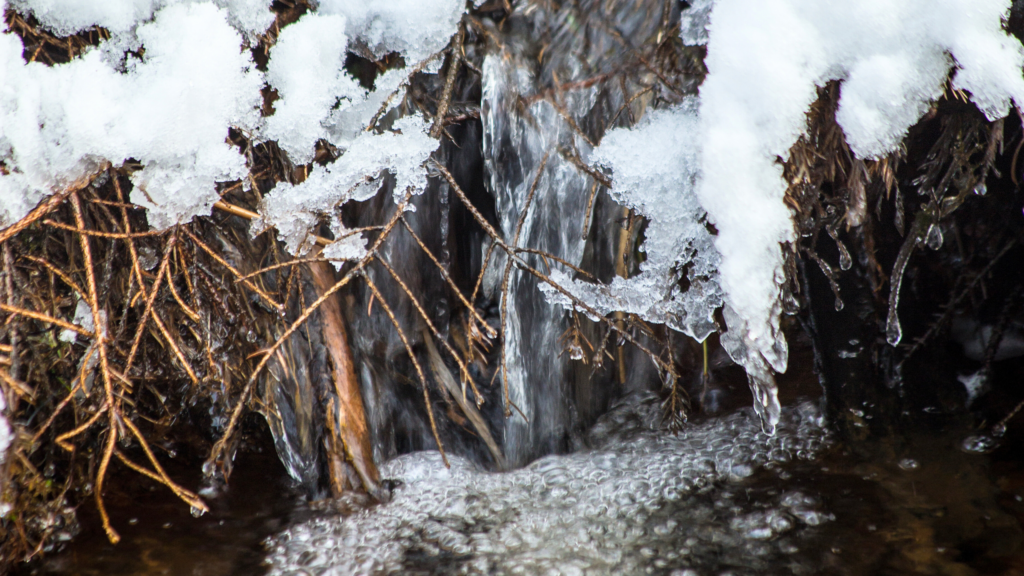 Low snow, low flows - Washington Water Trust