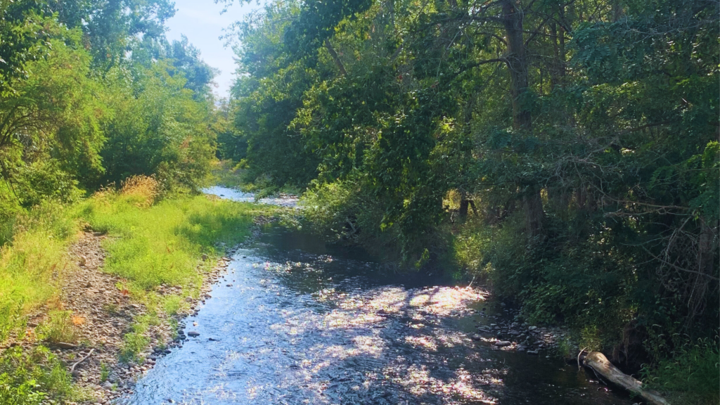 Washington Water Trust receives grant from The Wildhorse Foundation for ...