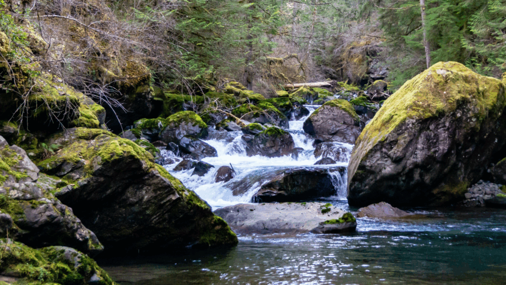 GiveBIG for local rivers, streams, and salmon - Washington Water Trust